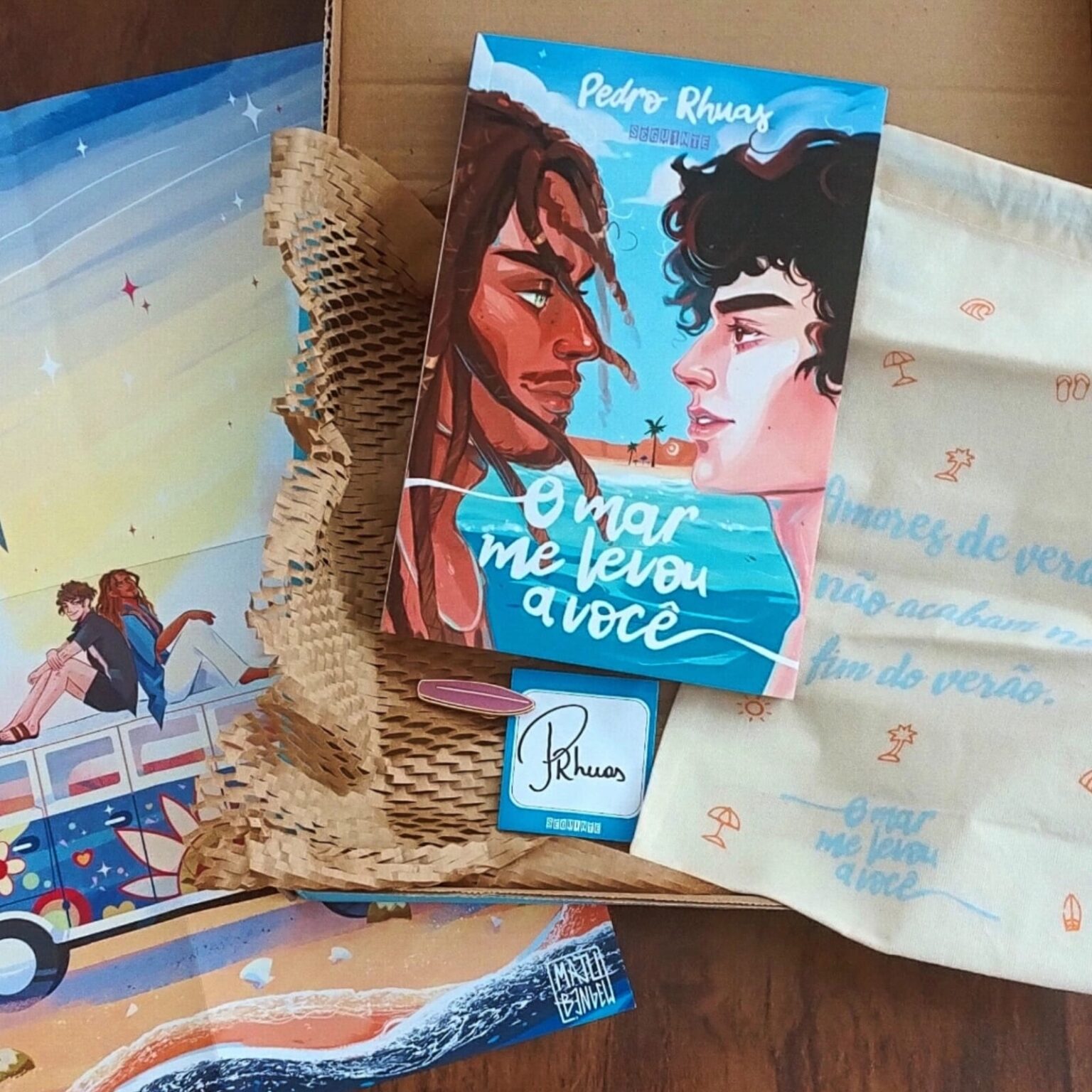 Resenha: Futuro ancestral – Ailton Krenak - Idris Brasil